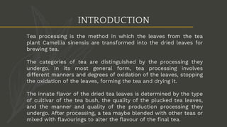 Processing Of Tea | PPTX