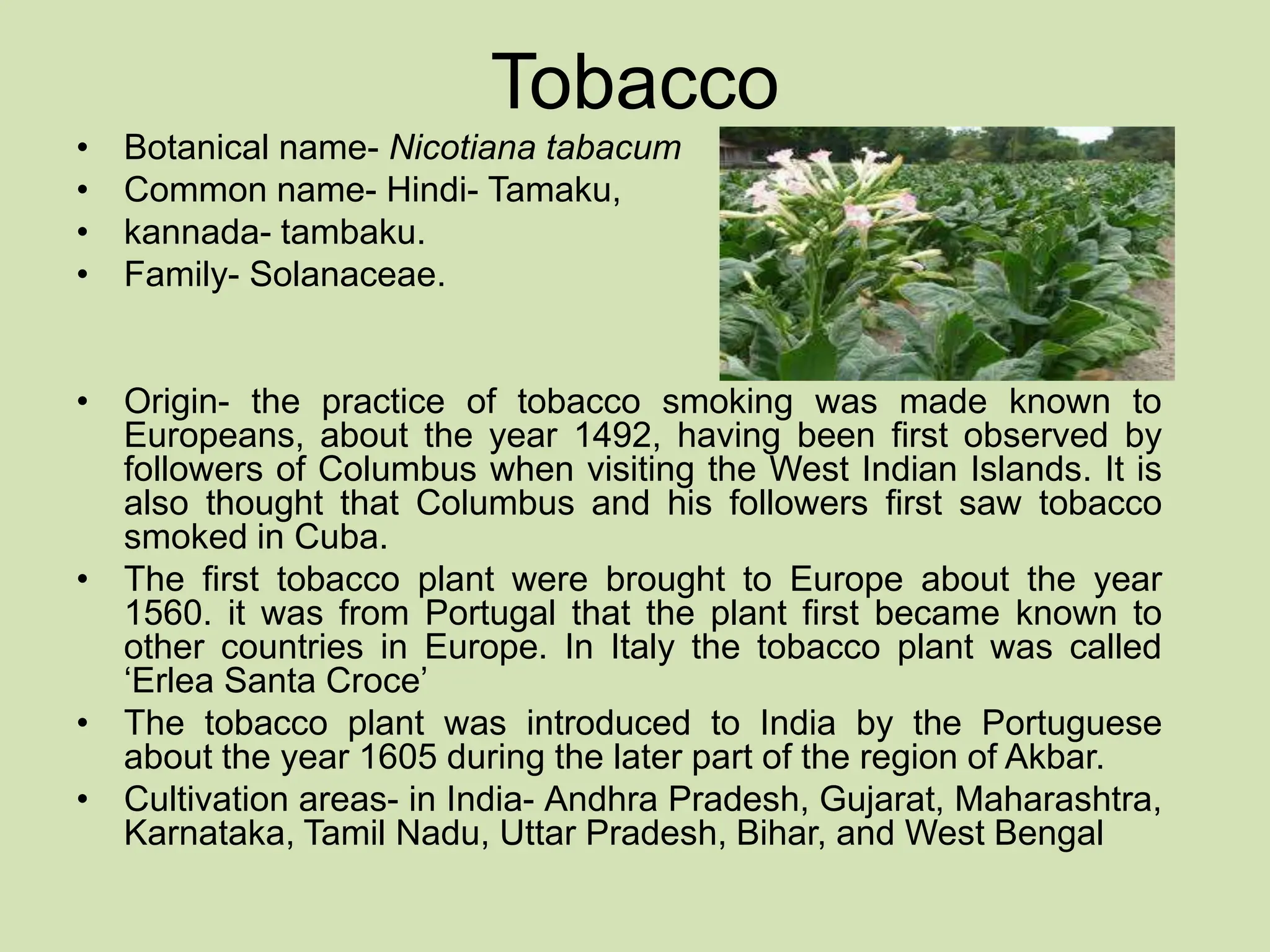 INTRODUCTION TO THE PROCESSING OF TOBACCO LEAVES.pptx
