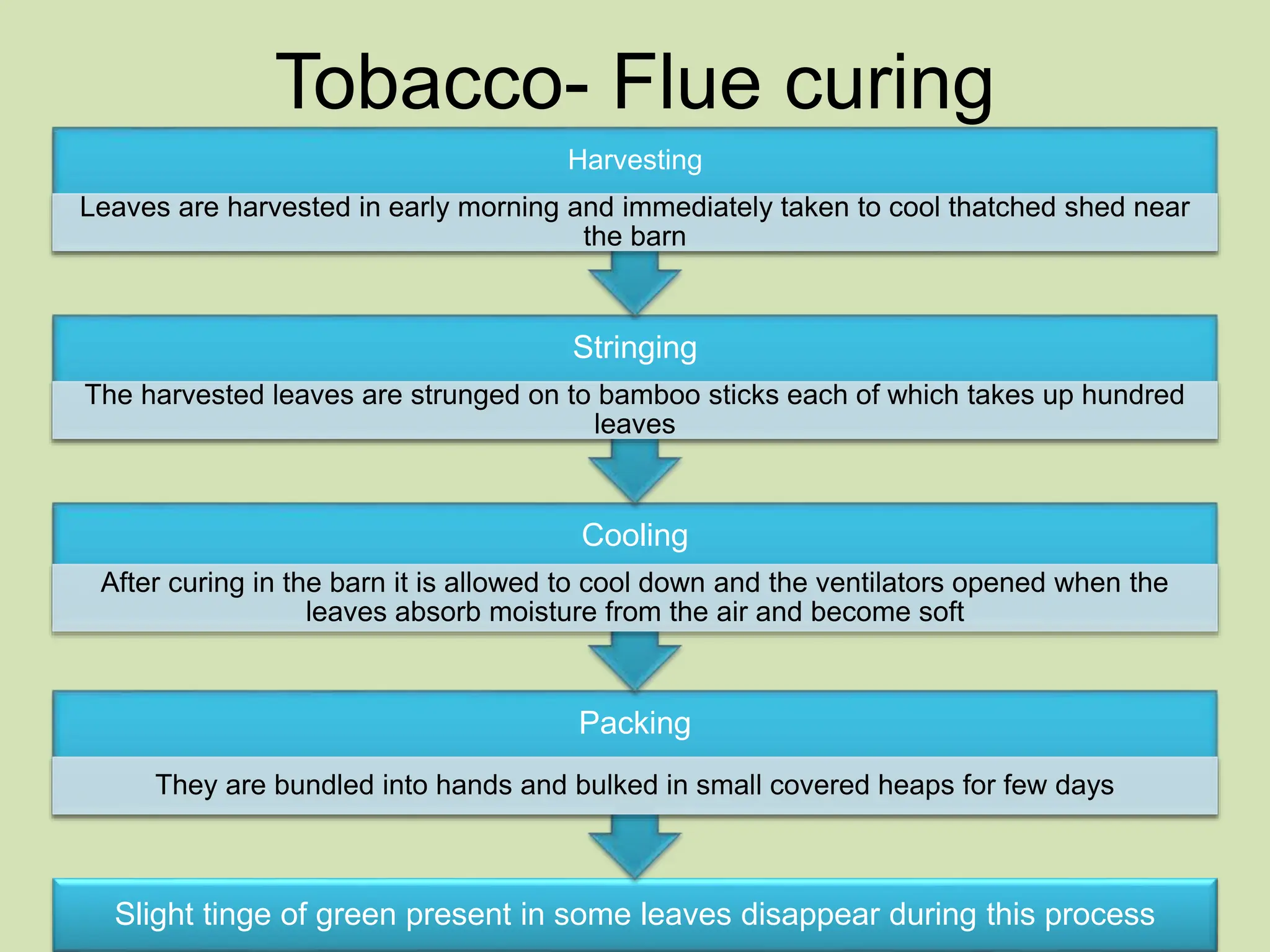 INTRODUCTION TO THE PROCESSING OF TOBACCO LEAVES.pptx