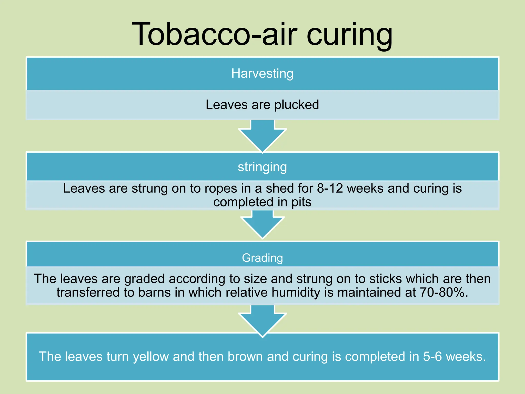 INTRODUCTION TO THE PROCESSING OF TOBACCO LEAVES.pptx