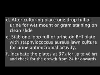 Processing of urine in microbiology by Rahul raj | PPTX