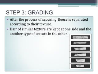 Processing of wool | PPTX