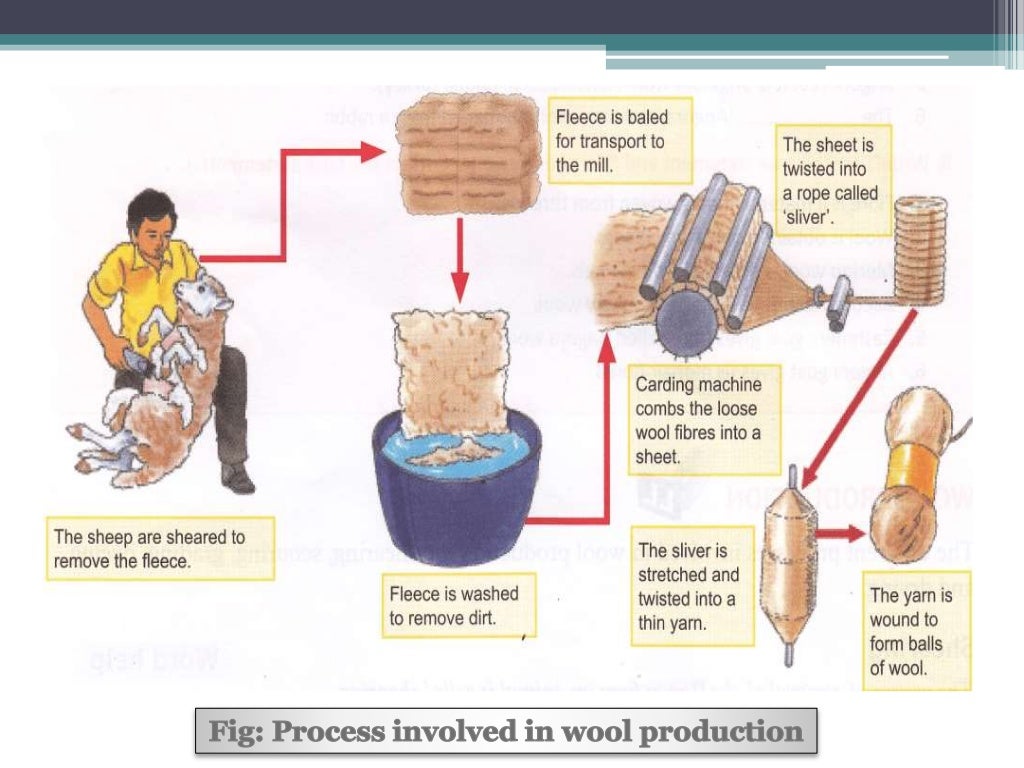 Processing of wool
