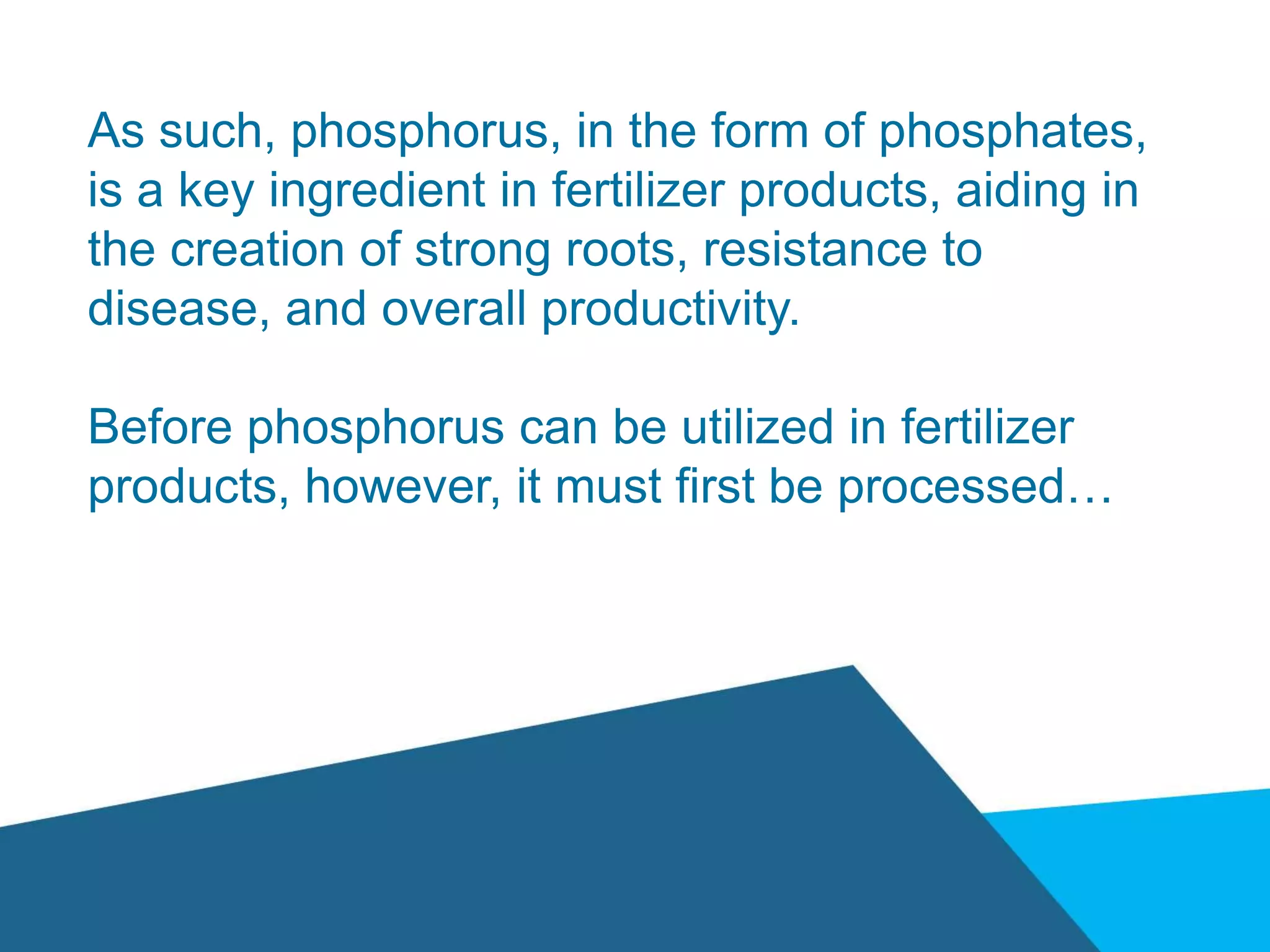 Processing Phosphates for Use in Fertilizers | PDF