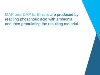 Processing Phosphates for Use in Fertilizers | PDF