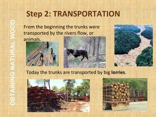 Processing wood | PPT