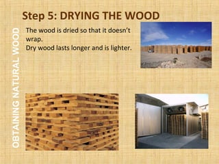 Processing wood | PPT