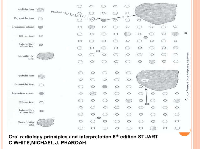 Processing x rays /endodontic courses | PPT