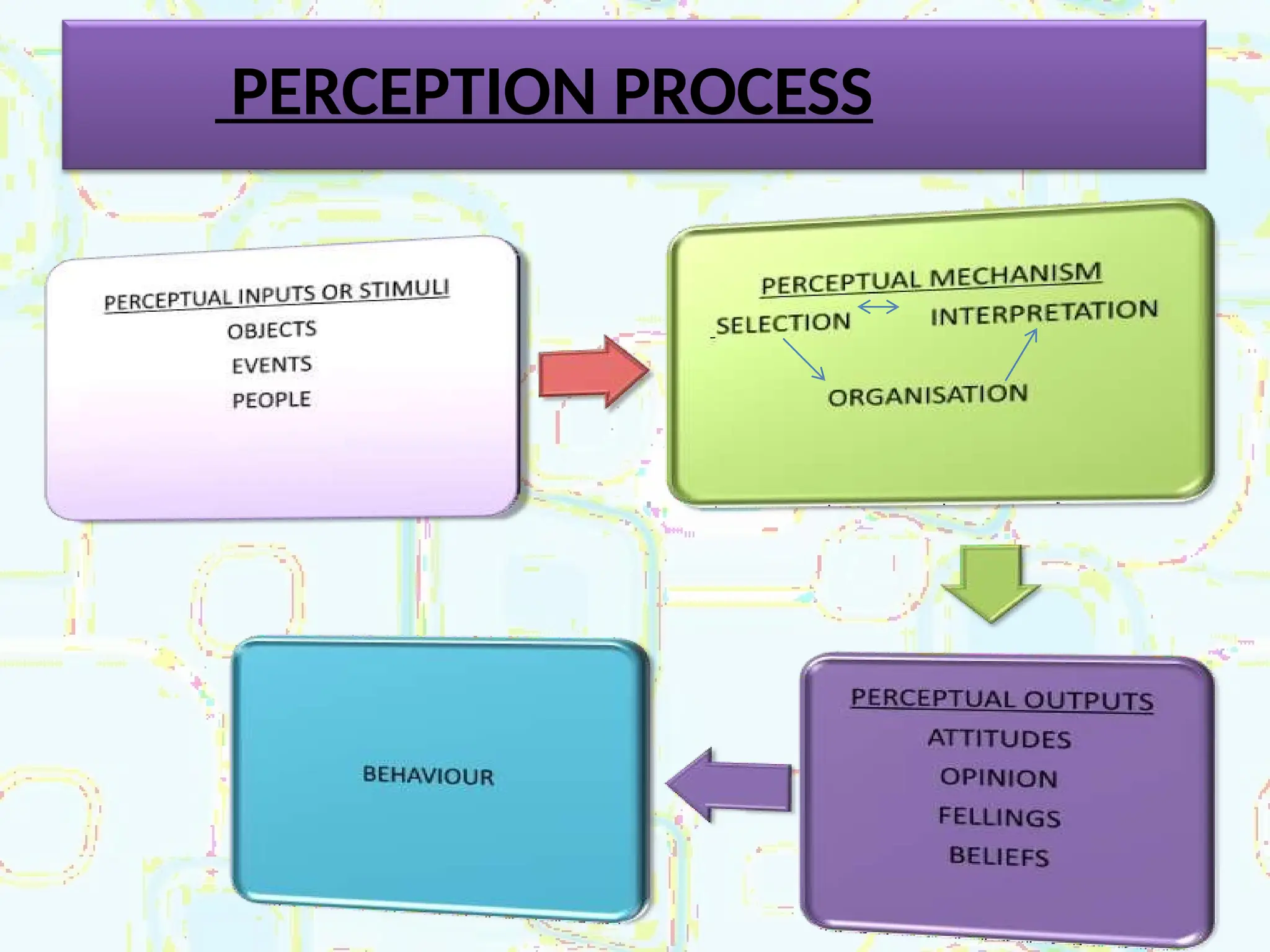 process in perception in organisational behaviour | PPT
