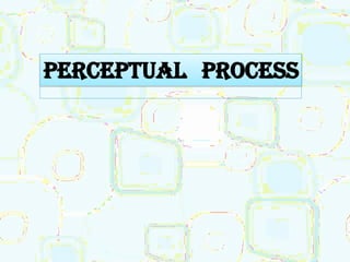 process in perception in organisational behaviour | PPT