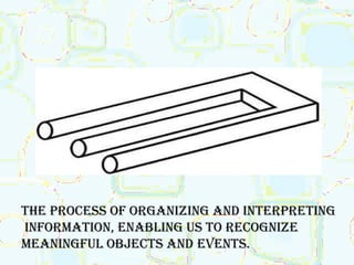 process in perception in organisational behaviour | PPT