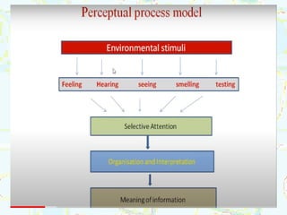 process in perception in organisational behaviour | PPT