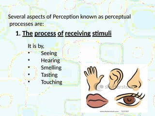 process in perception in organisational behaviour | PPT