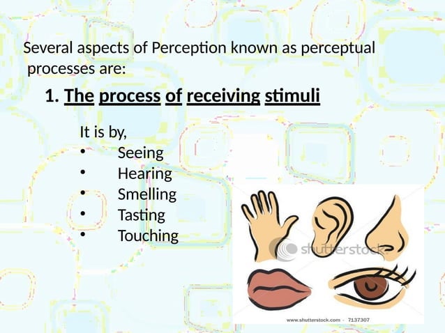 process in perception in organisational behaviour | PPT