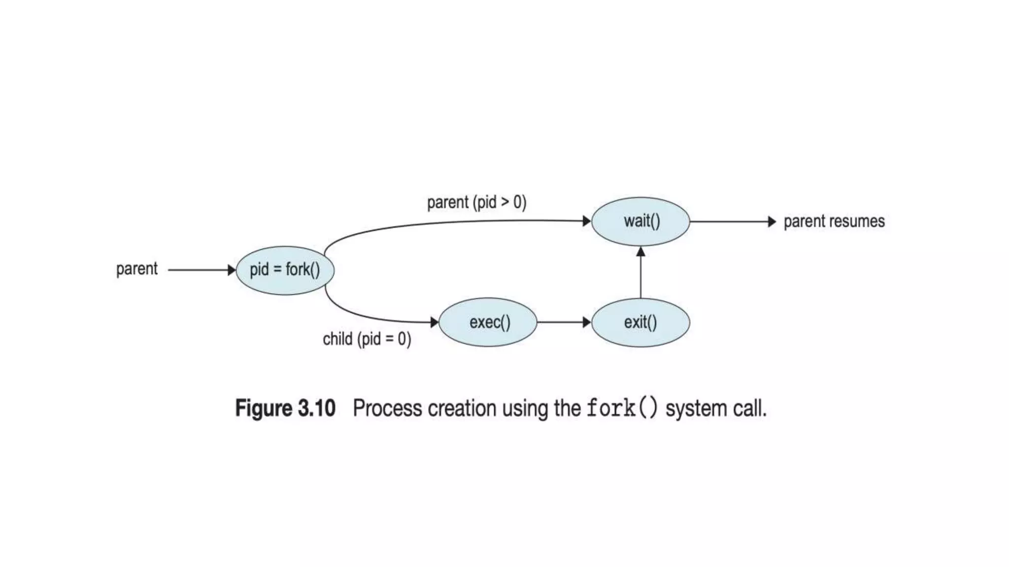 Process management in operating system | process states | PCB | FORK ...