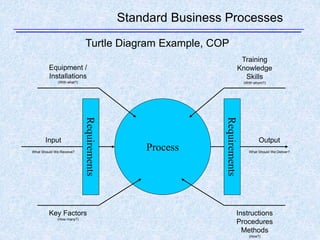 Process Maps and Turtle Diagrams Example.ppt
