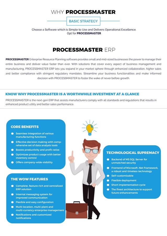 PROCESSMASTER ERP | PDF