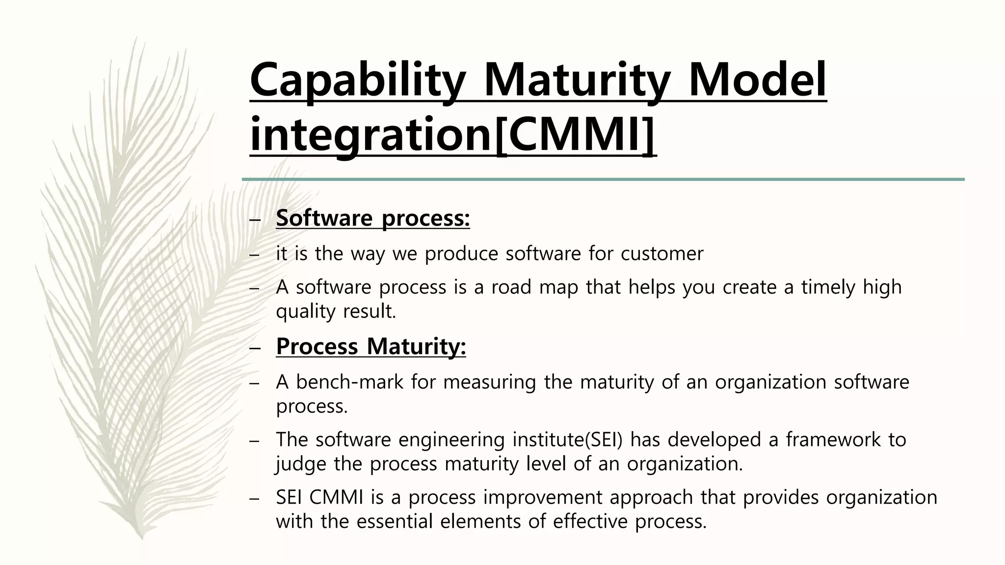 Process measurment+cmmi+risk managment+project estimation | PPTX