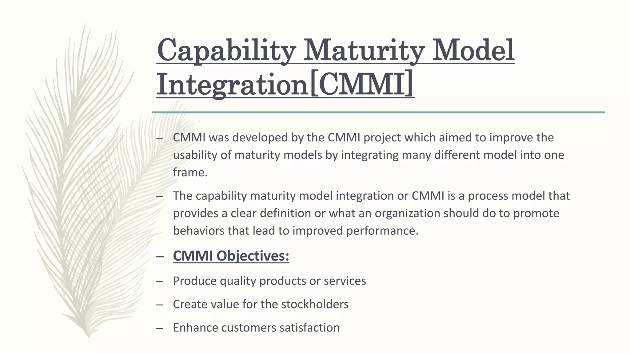 Process measurment+cmmi+risk managment+project estimation | PPTX