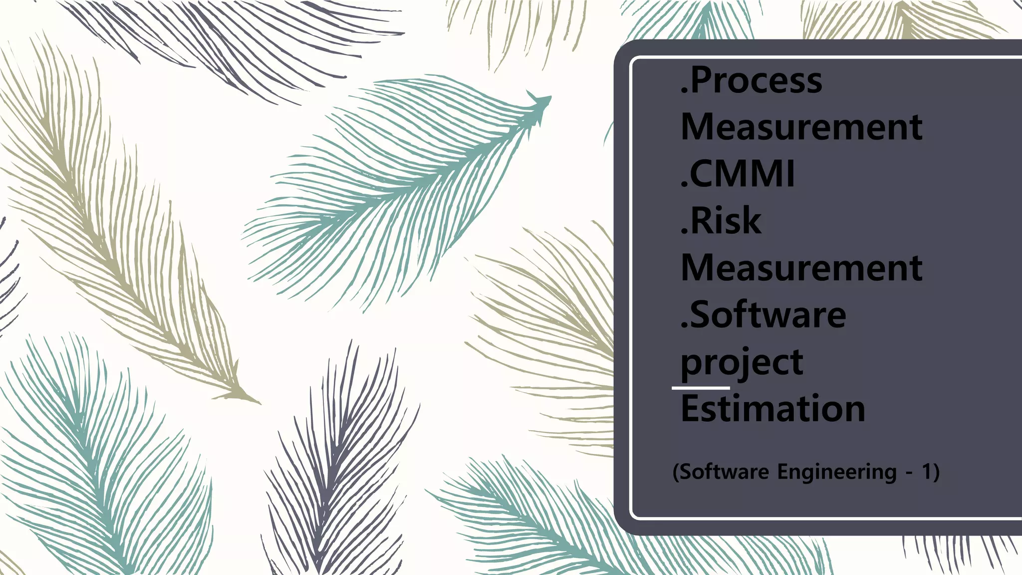Process measurment+cmmi+risk managment+project estimation | PPT