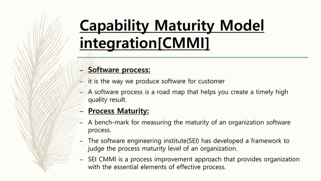 Process measurment+cmmi+risk managment+project estimation | PPT