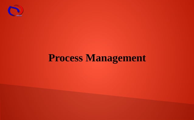 Process management | PDF