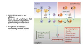 process of autoimmune disease | PPTX