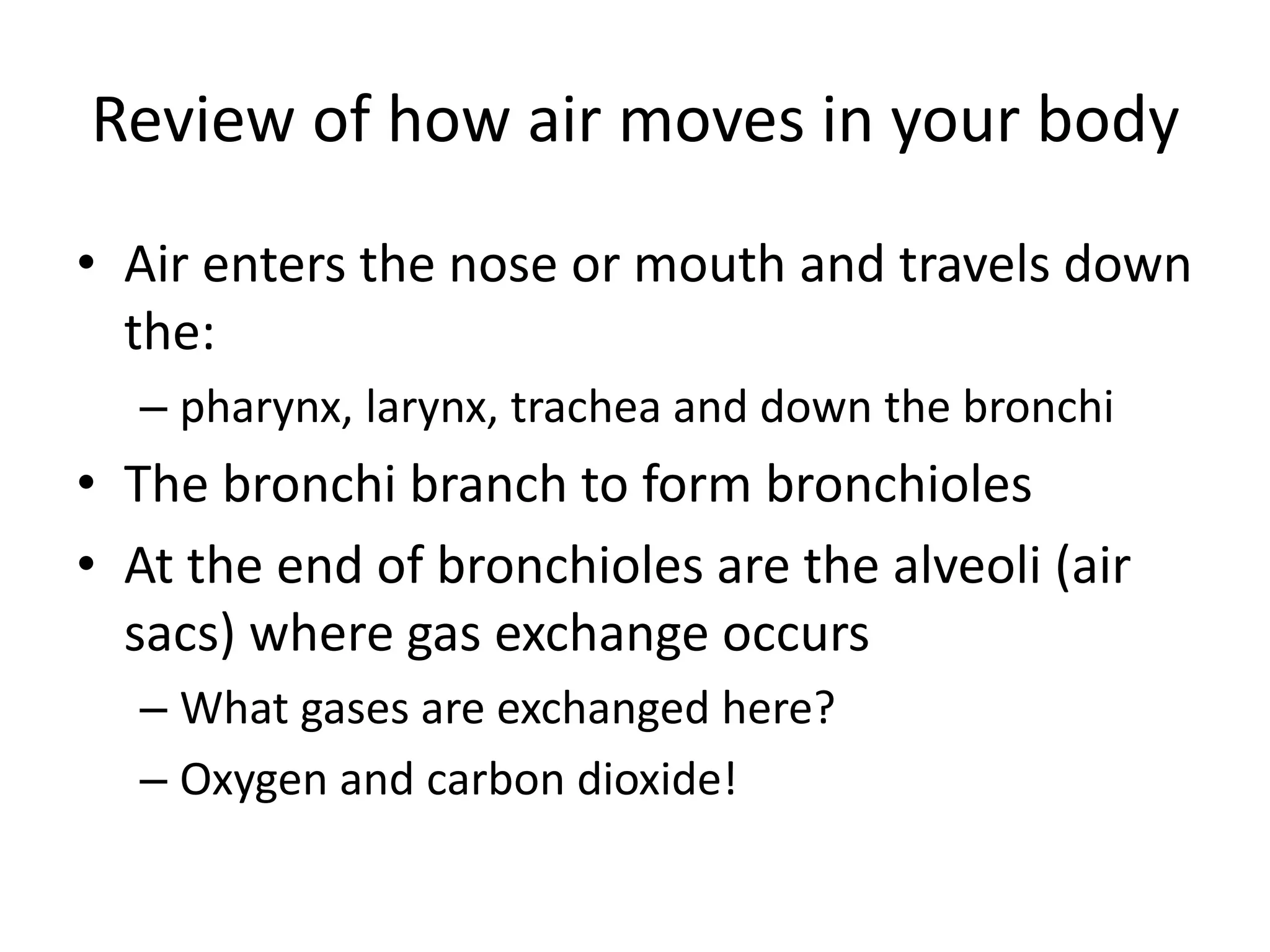 Process of breathing | PPTX