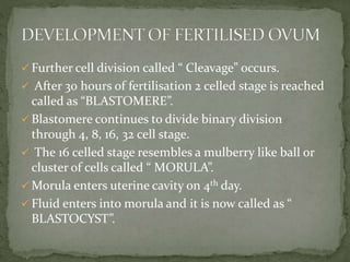 Process of conception | PPTX