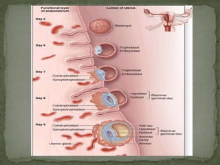 Process of conception | PPTX