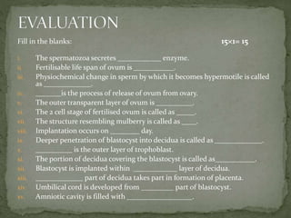 Process of conception | PPTX