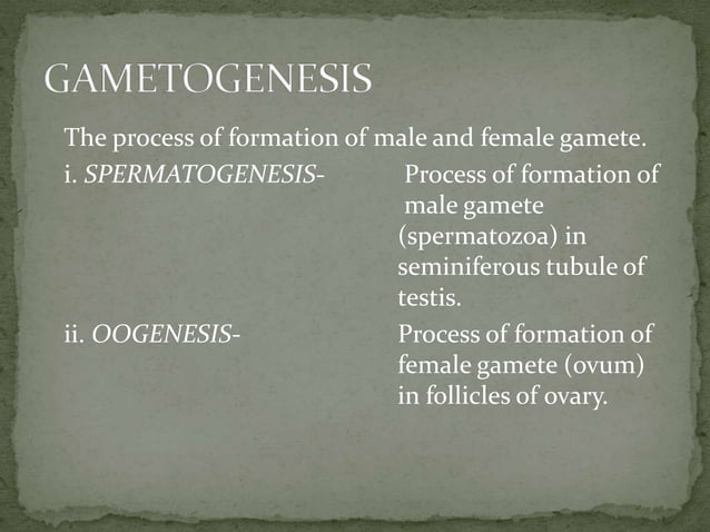 Process of conception | PPTX