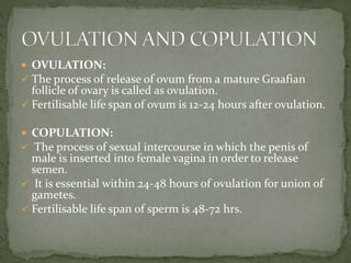 Process of conception | PPTX