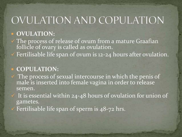 Process of conception | PPTX