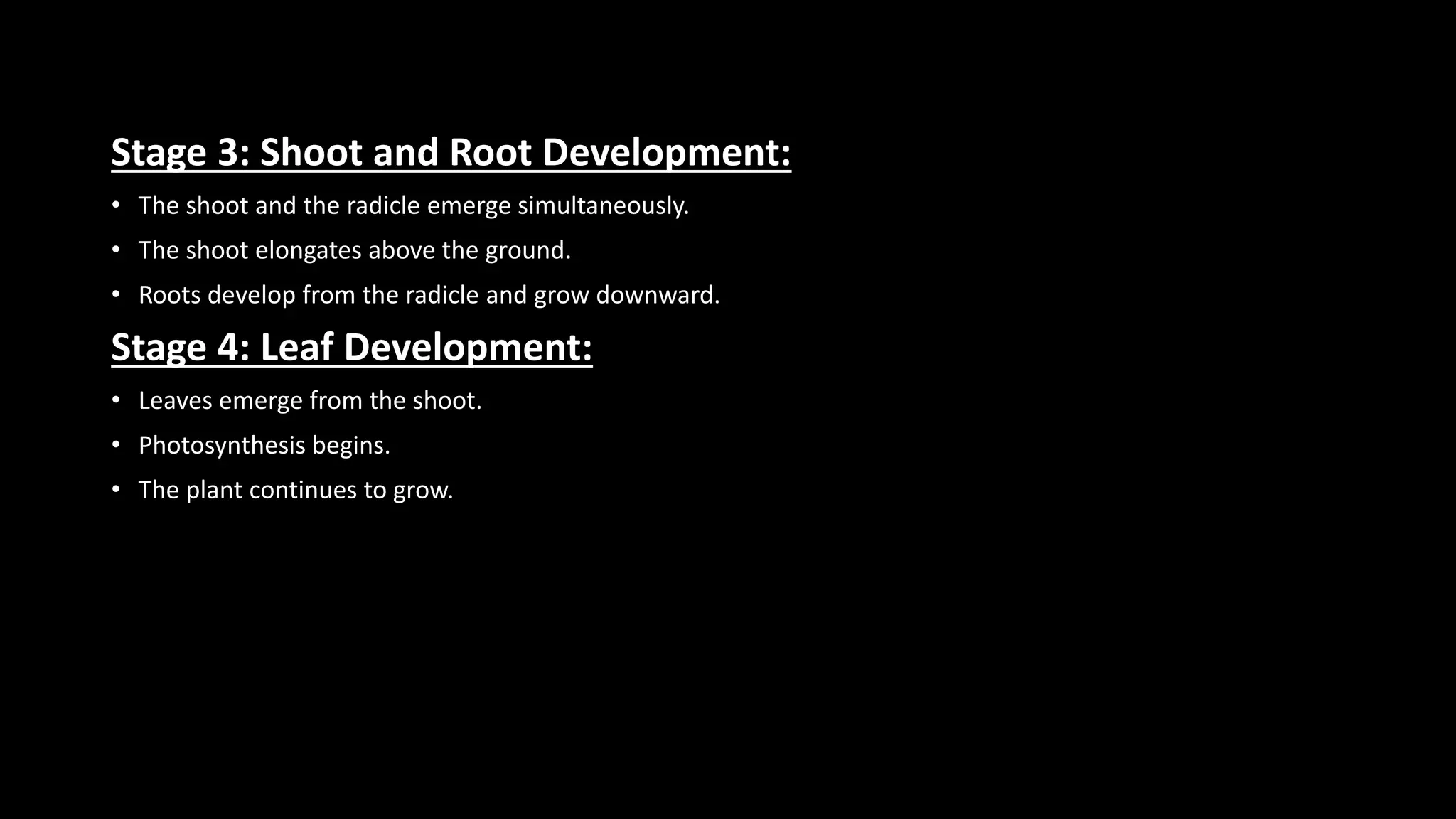 Process of Germination in Dicot and Monocot.pptx