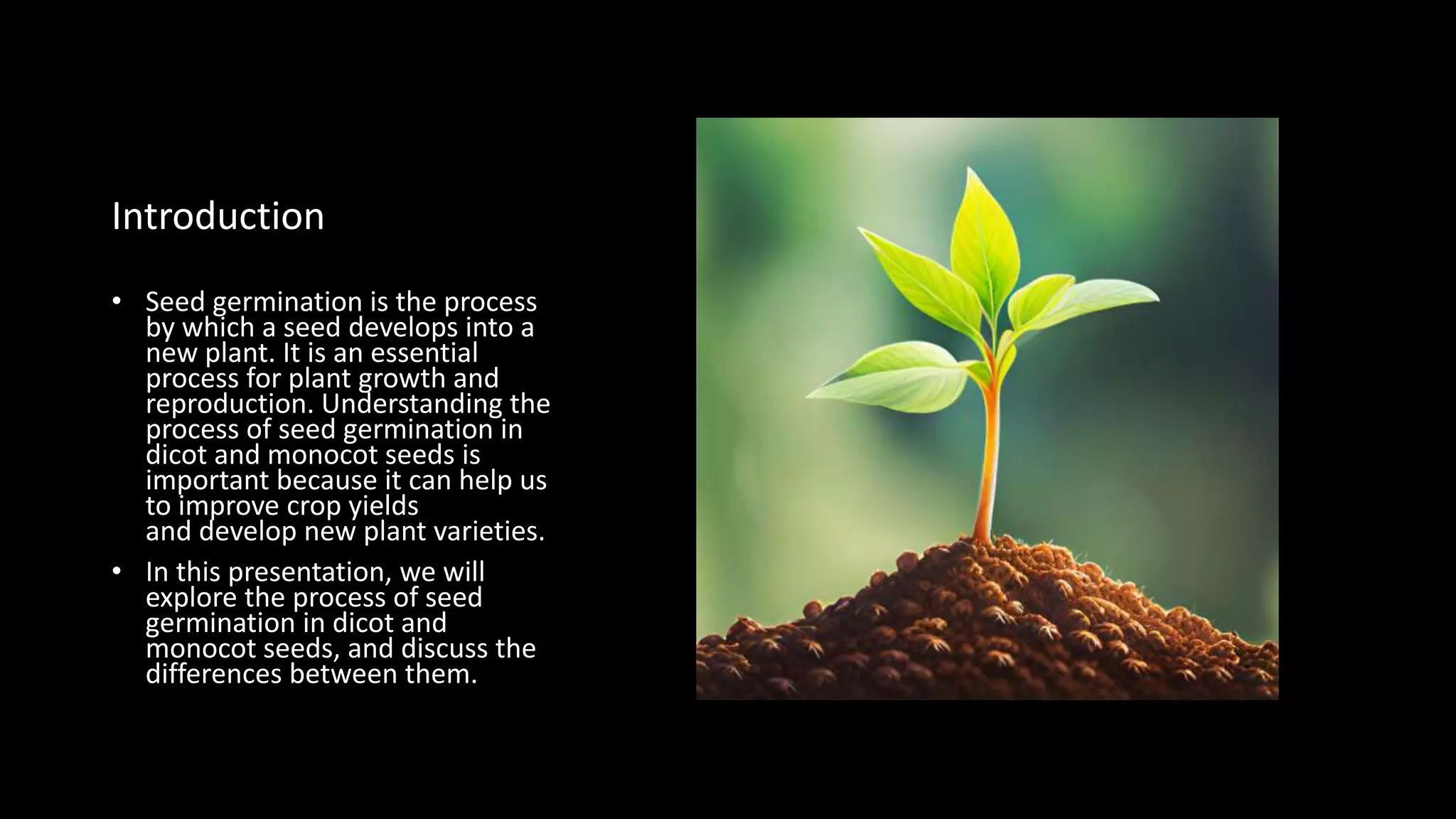 Process of Germination in Dicot and Monocot.pptx
