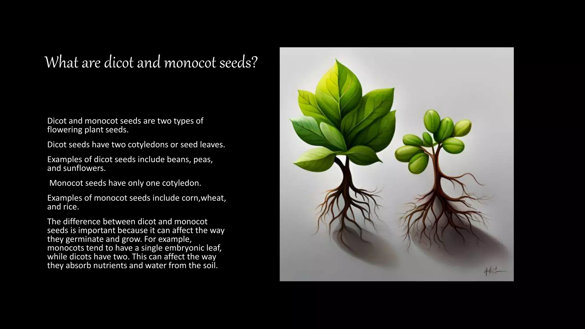 Process of Germination in Dicot and Monocot.pptx