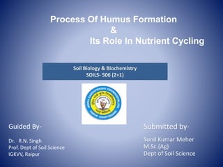 Process of humus formation | PPTX