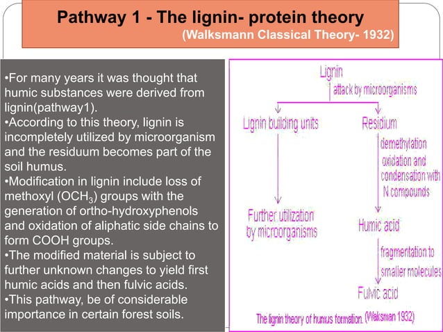 Process of humus formation | PPTX