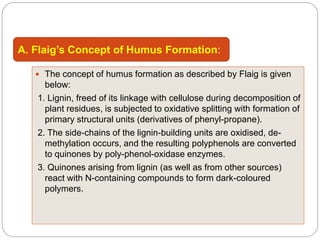 Process of humus formation | PPTX