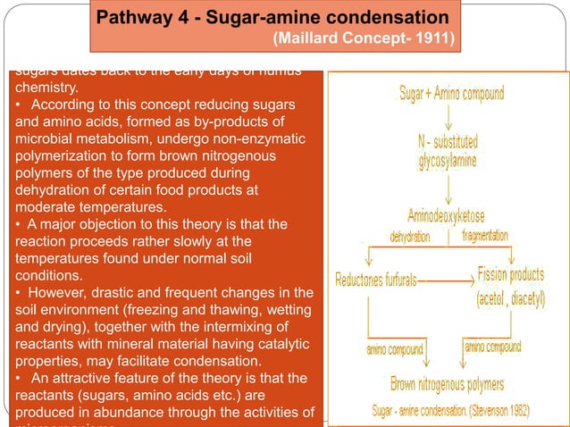 Process of humus formation | PPTX