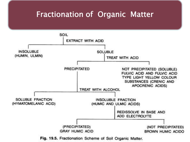 Process of humus formation | PPTX