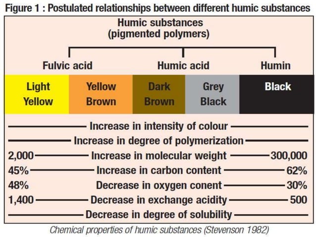 Process of humus formation | PPTX