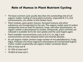 Process of humus formation | PPTX