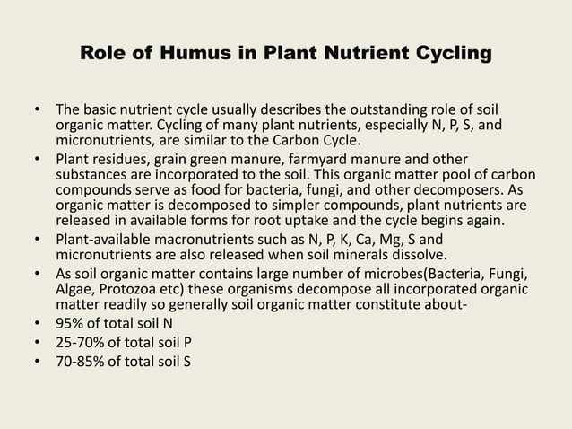 Process of humus formation | PPTX