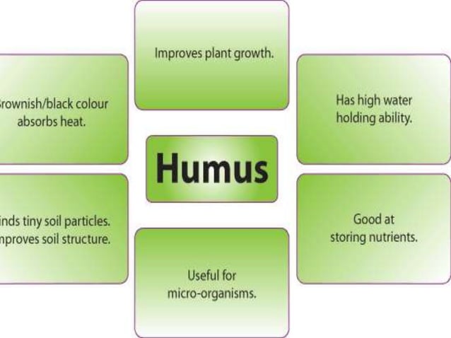 Process of humus formation | PPTX