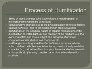Process of humus formation | PPTX