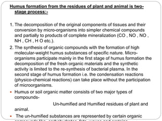 Process of humus formation | PPTX