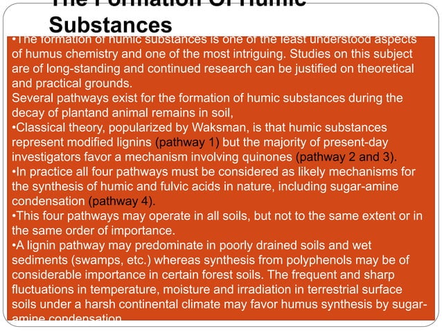 Process of humus formation | PPTX