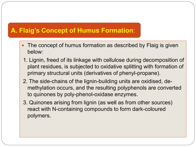 Process of humus formation